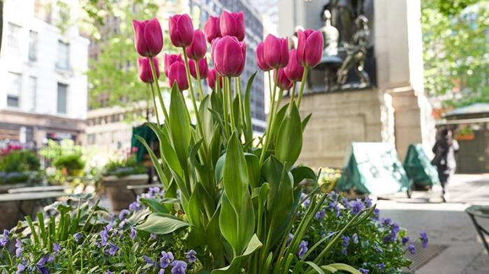 Public Spaces in the 34th Street District